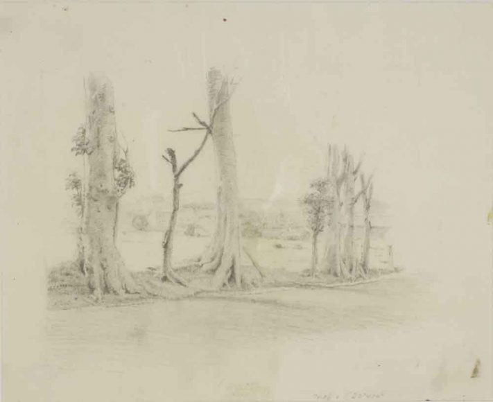 Ramón Frade. “Estudio de paisaje”, s.f., lápiz sobre papel, 7 ¾ x 10 ...